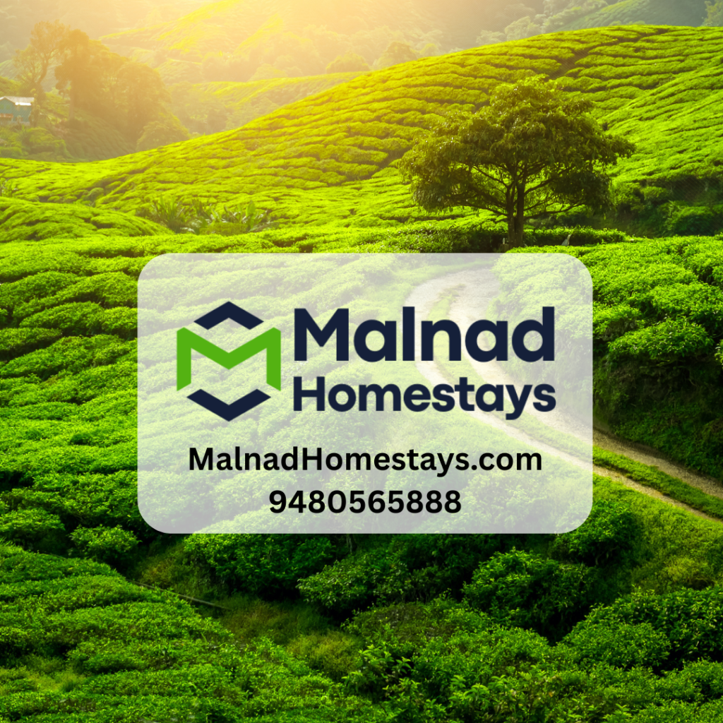 Malnad Homestays - Estate Stays in Malnad | Book Malnad Stays
